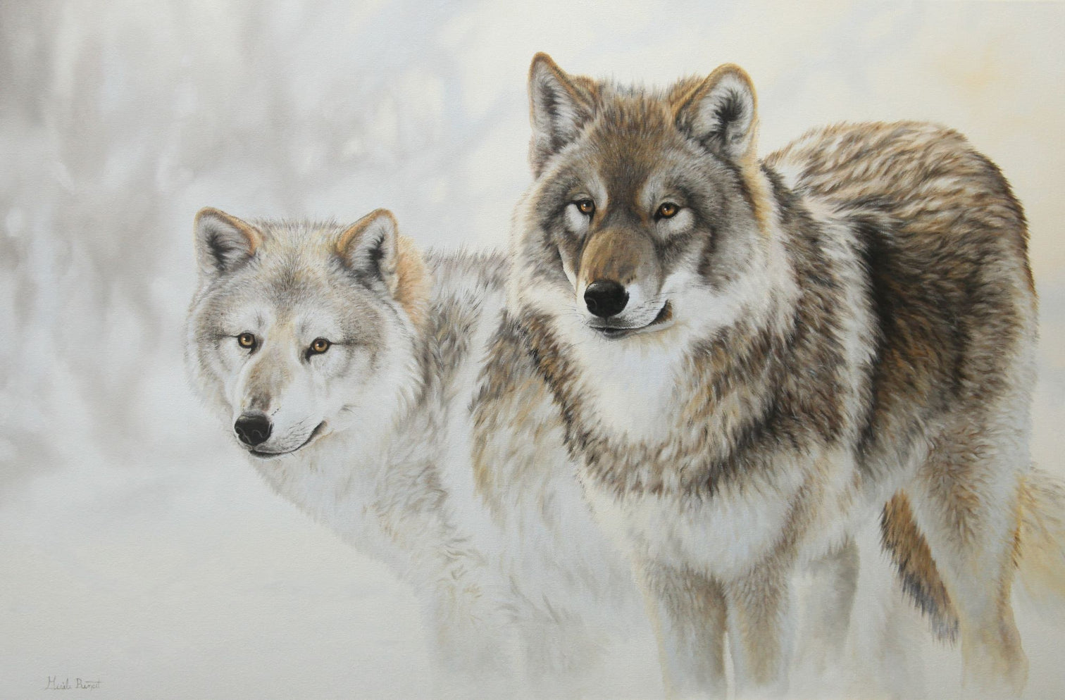 Original paintings – Société Art et Science pour la Nature