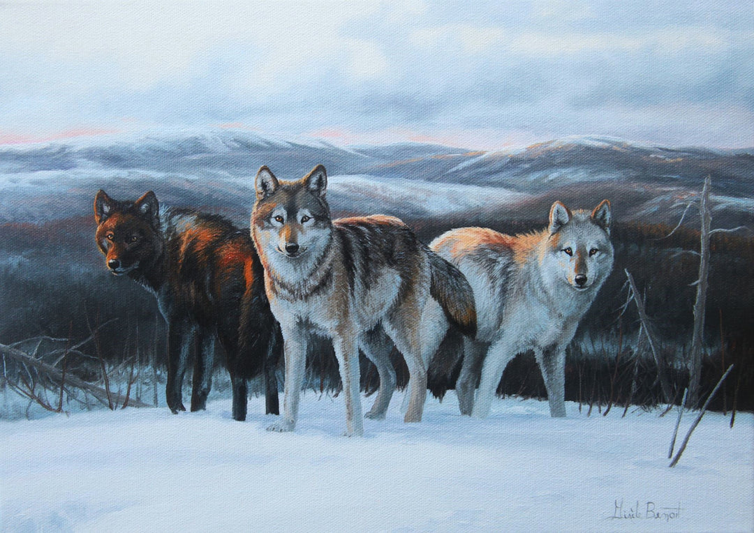 Original paintings – Société Art et Science pour la Nature